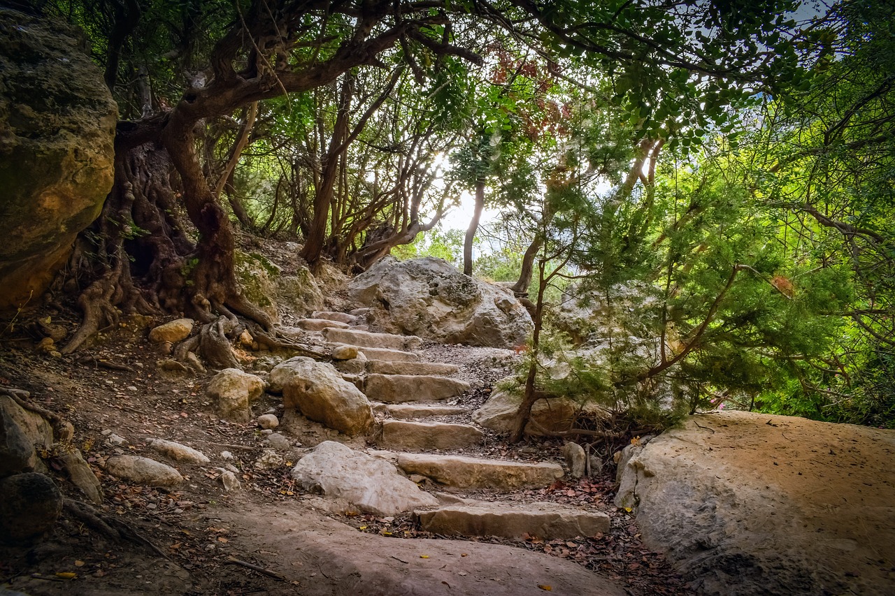 Urlaub Zypern • Paphos Akamas Peninsula National Park (Ratgeber)